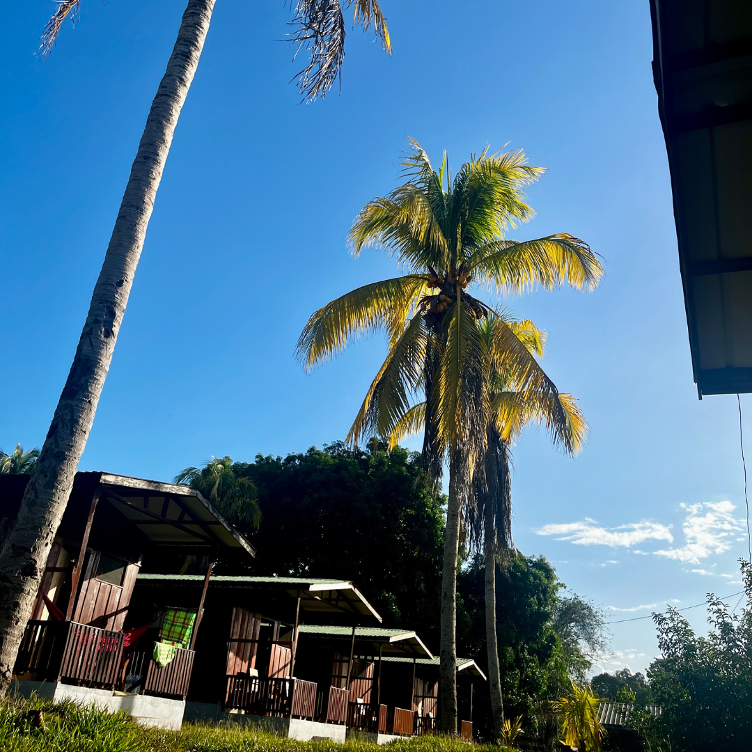 Lodge Hopping – Easy Travel Suriname